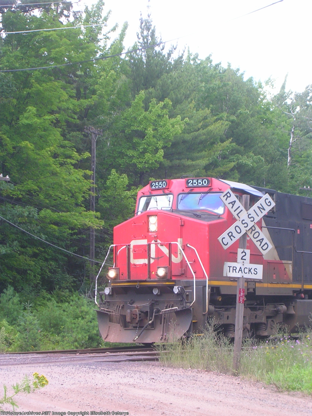 CN 2550